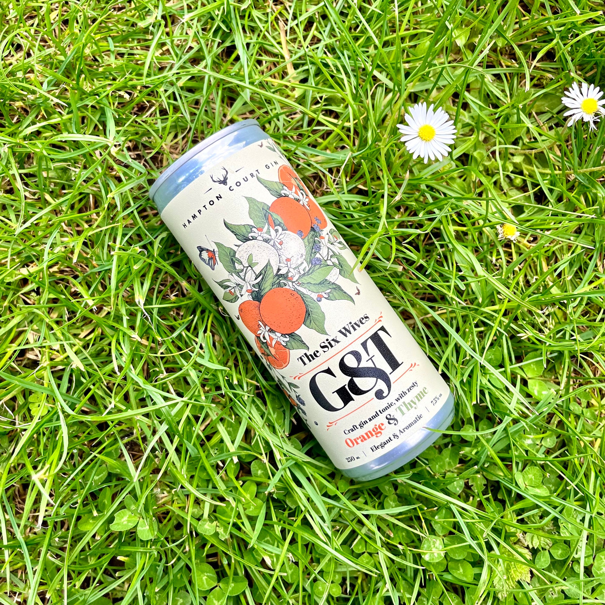 The Six Wives G&T (12x 250ml) | Hampton Court Gin